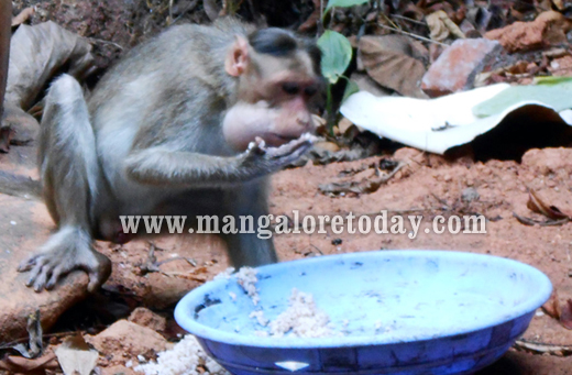 Mangalore Today | Latest main news of mangalore, udupi - Page This ...