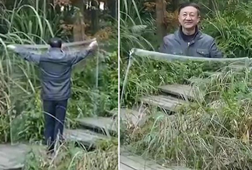 China amazed: Transparent cloth which ’makes a person disappear’