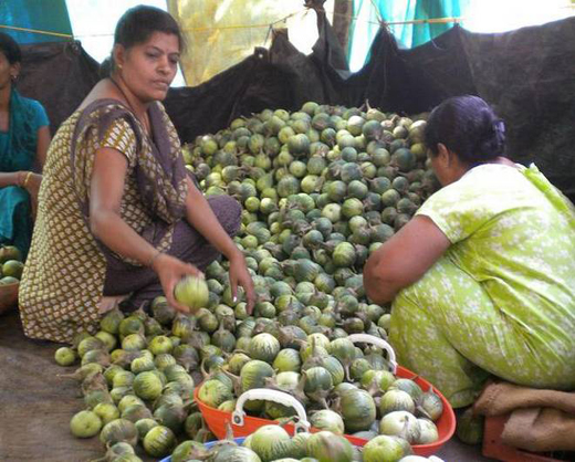 Mangalore Today | Latest main news of mangalore, udupi - Page Now-enjoy ...