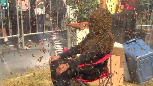 Man sets new world record for wearing massive beard made of bees