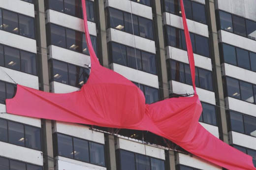 The worlds biggest bra has gone up for sale on eBay