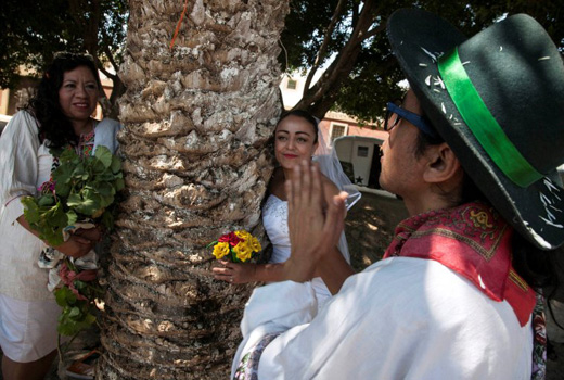 Single women get married to trees in ceremony to save them