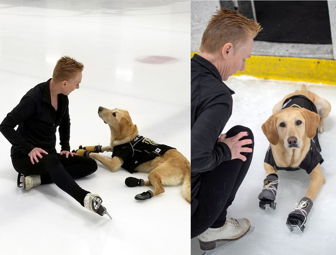 ’World’s first’ ice skating dog looks like he’s loving life