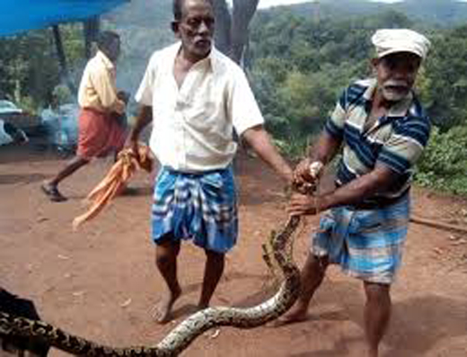 Mangalore Today | Latest headlines of mangalore, udupi - Page Kerala ...