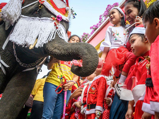 Elephants dressed as Santa Claus deliver gifts to schoolchildren