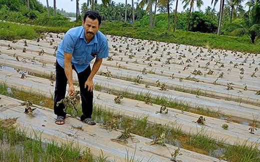 Mangalore Today | Latest main news of mangalore, udupi - Page Floods ...