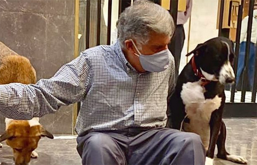 The dog who sits in Ratan Tata’s office, attends his meetings