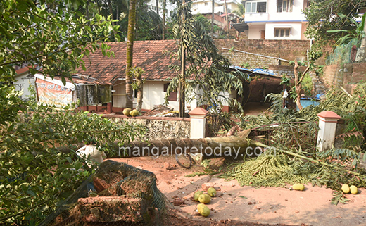 Mangalore Today | Latest main news of mangalore, udupi - Page Bantwal ...