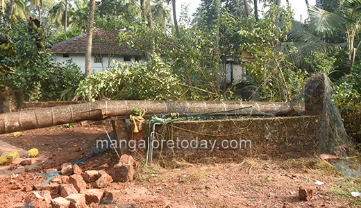 Mangalore Today | Latest main news of mangalore, udupi - Page Bantwal ...