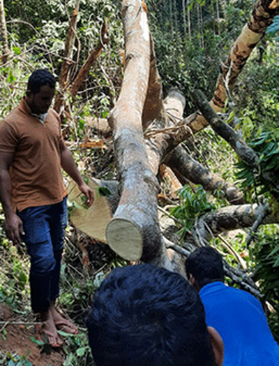 Mangalore Today | Latest main news of mangalore, udupi - Page ...