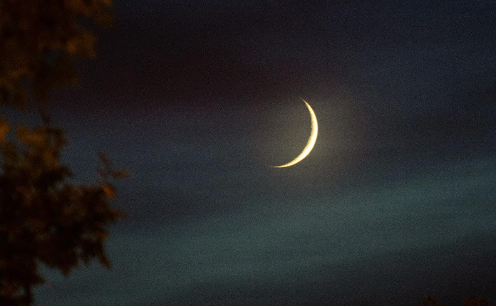 Mangalore Today | Latest main news of mangalore, udupi - Page October ...