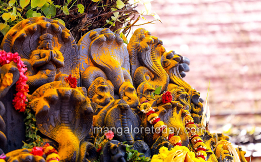 Mangalore Today | Latest main news of mangalore, udupi - Page Nagara ...