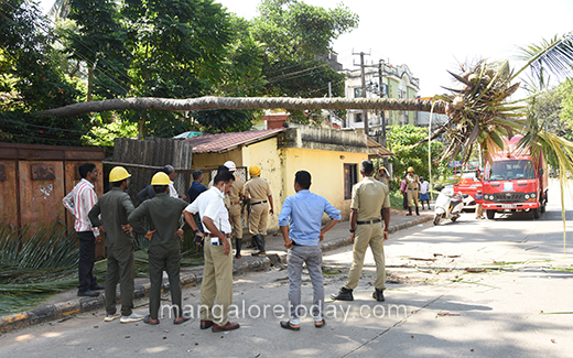 Mangalore Today | Latest main news of mangalore, udupi - Page Huge ...