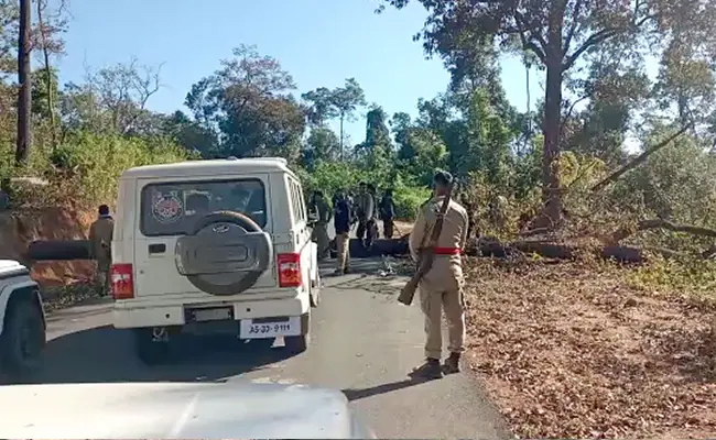 Mangalore Today | Latest headlines of mangalore, udupi - Page Forest ... Mangalore Today | Latest headlines of mangalore, udupi - Page Forest ...