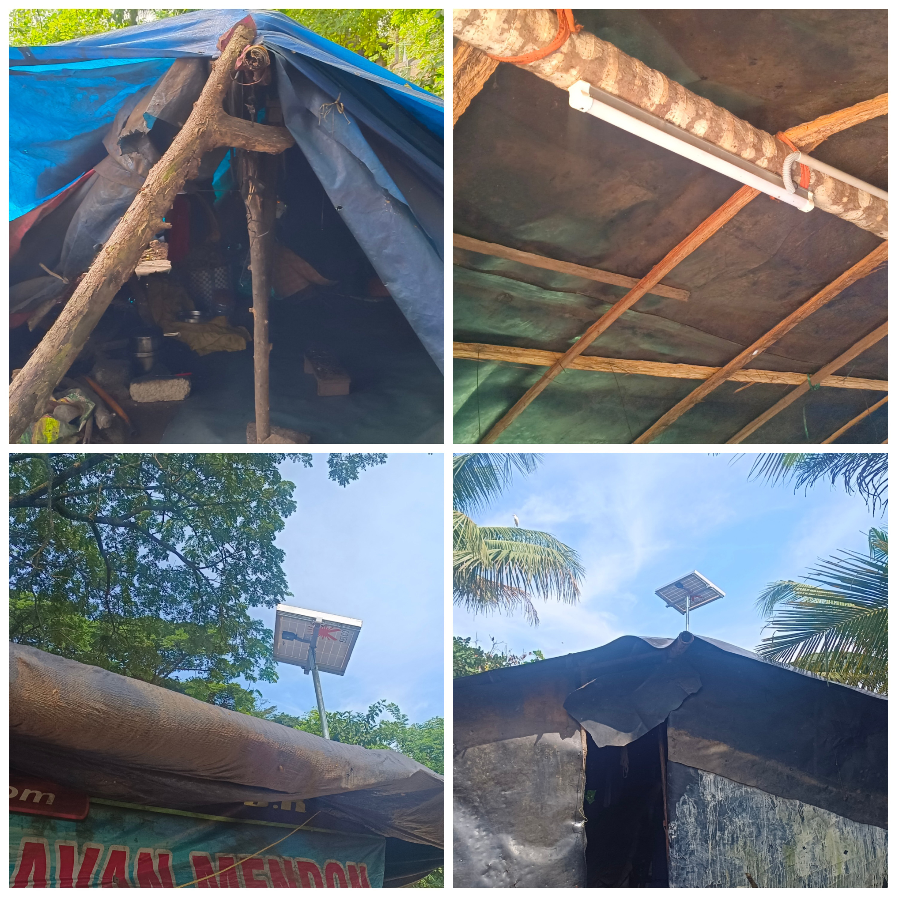 Mangalore Today | Latest main news of mangalore, udupi - Page Hasiru ...