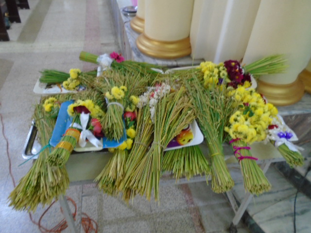 Mangalore Today | Latest main news of mangalore, udupi - Page Monthi ...