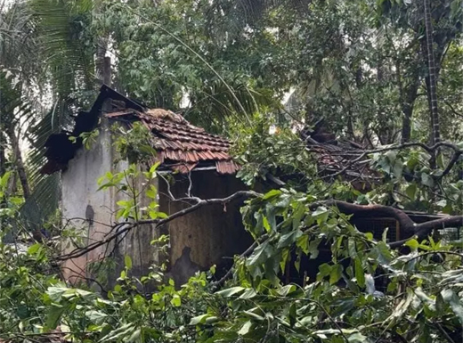 Mangalore Today | Latest main news of mangalore, udupi - Page Moodbidri ...