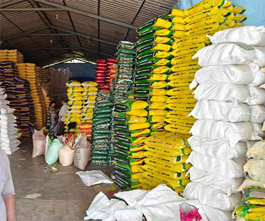 Mangalore Today | Latest main news of mangalore, udupi - Page Rice ...