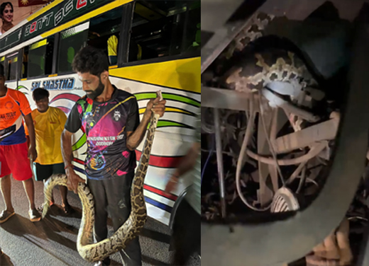 Mangalore Today | Latest main news of mangalore, udupi - Page Python ...
