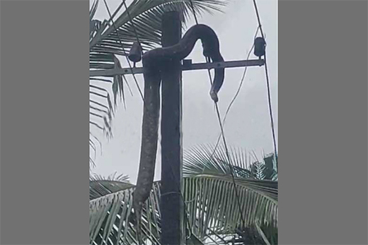 Mangalore Today | Latest main news of mangalore, udupi - Page Python ...