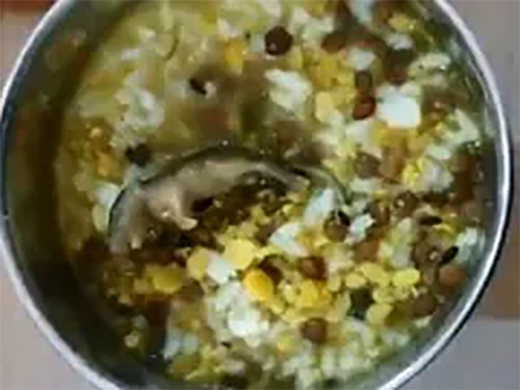 Dead snake found in mid-day meal packet in Maharashtra, parents claim