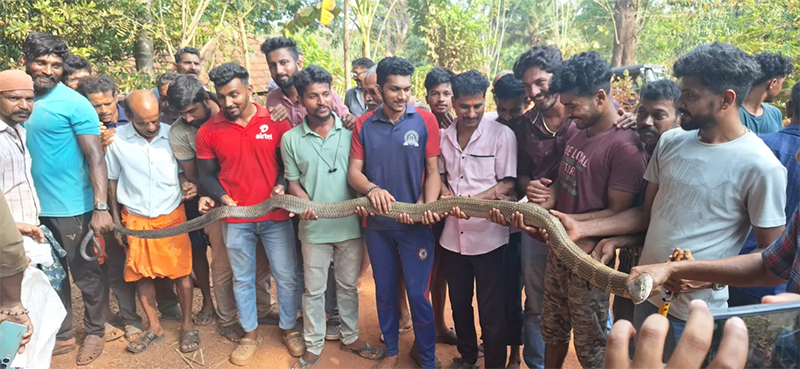 Mangalore Today | Latest main news of mangalore, udupi - Page Kadaba-13 ...