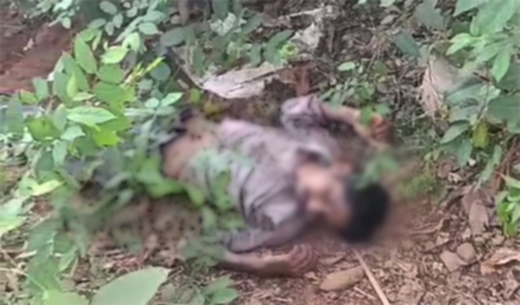 Mangalore Today | Latest main news of mangalore, udupi - Page Udupi-Man ...