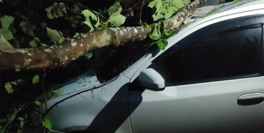 Mangalore Today | Latest main news of mangalore, udupi - Page Mulki ...