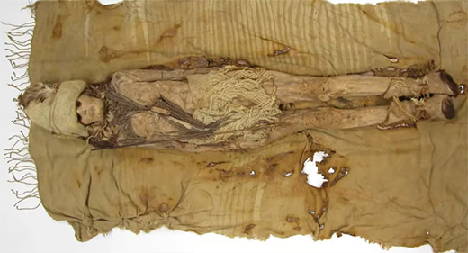 World’s oldest cheese found on 3600 year old Chinese mummies