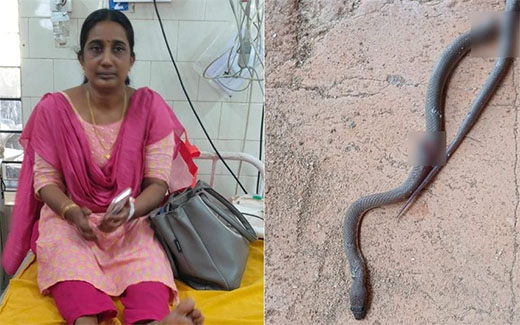 Mangalore Today | Latest main news of mangalore, udupi - Page Kasargod ...