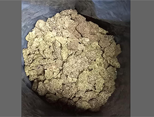 Mangalore Today | Latest main news of mangalore, udupi - Page Hydro ...