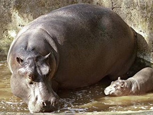 Mangalore Today | Latest main news of mangalore, udupi - Page ...