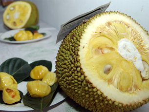 Mangalore Today | Latest main news of mangalore, udupi - Page Jackfruit ...