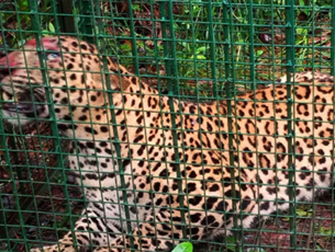 Mangalore Today | Latest main news of mangalore, udupi - Page ...