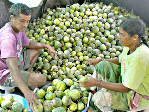 Mangalore Today | Latest main news of mangalore, udupi - Page Udupi ...