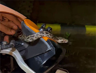 Mangalore Today | Latest main news of mangalore, udupi - Page Udupi ...