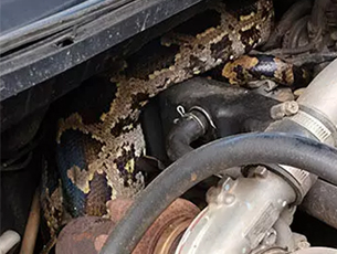 Mangalore Today | Latest main news of mangalore, udupi - Page Mangaluru ...