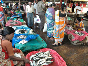Mangalore Today | Latest main news of mangalore, udupi - Page After ...