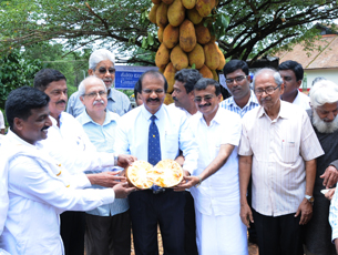 Mangalore Today | Latest main news of mangalore, udupi - Page Halasu ...