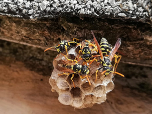 Mangalore Today | Latest main news of mangalore, udupi - Page Kasargod ...