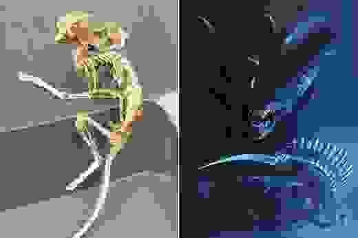 Alien skeleton unearthed by record label director is dead ringer for ...