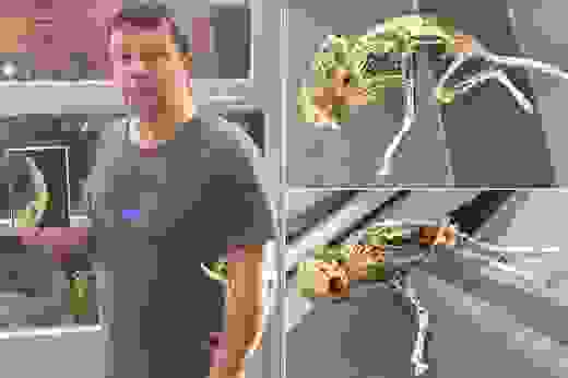 Alien skeleton unearthed by record label director is dead ringer for ...