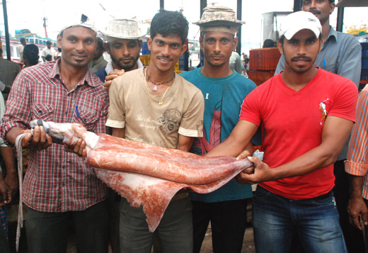 Mangalore Today | Latest main news of mangalore, udupi - Page Local ...