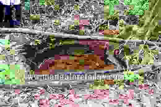 Mangalore Today | Latest main news of mangalore, udupi - Page Sullia ...