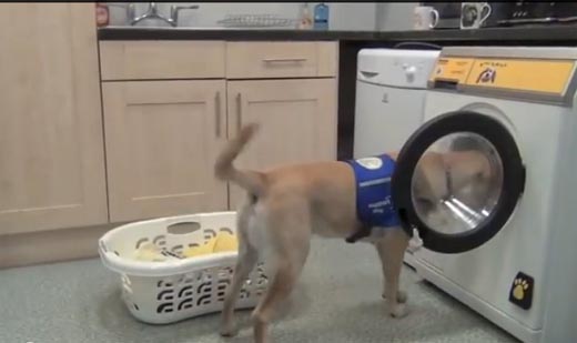 Washing machine for disabled people turns on when your dog BARKS