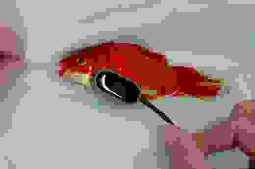 Man loves constipated goldfish so much he pays £300 to save £3 pet