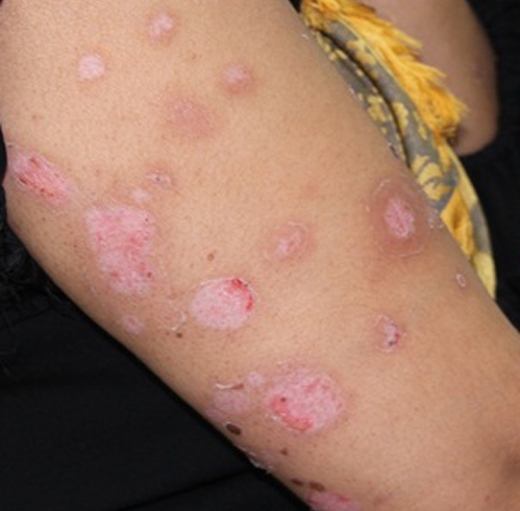 Mangalore Today is exclusive perfect news network for Gulf News. Page ...