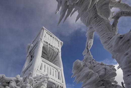 Real-life scenes of Frozen: Spell of extreme weather transforms trees ...
